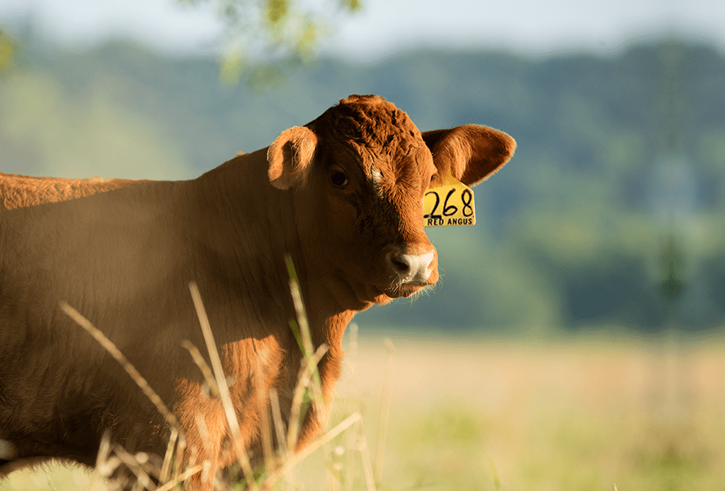 How It Works | Altosid® IGR